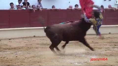 Feria TV : Blessure de Mathieu Guillon