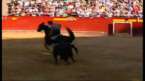 Valencia officialise les cartels des Fallas