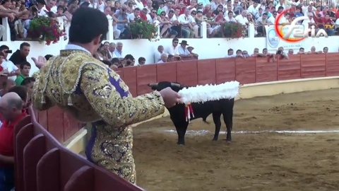 Cartel haut de gamme pour les Fêtes de Saint Sever
